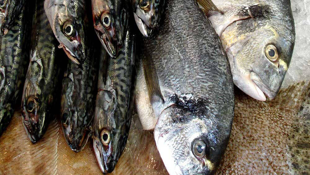 Enhancing seafood labelling schemes that support sustainable fishing ...