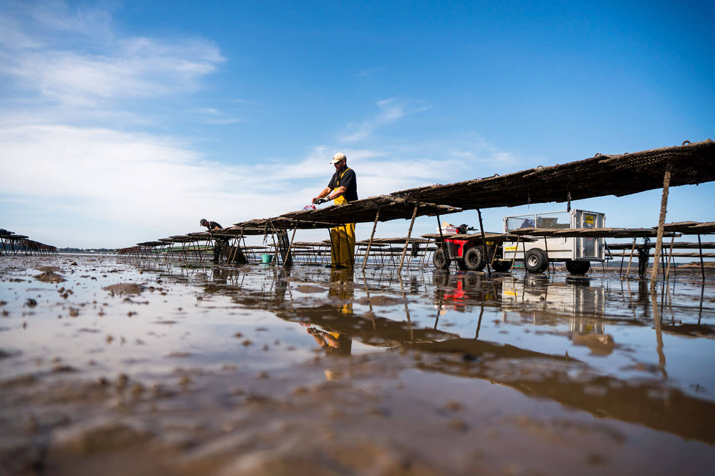 Informing English Aquaculture Strategy - SWEEP