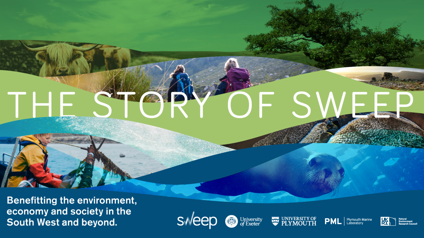 SWEEP Impact Report 2023 - SWEEP